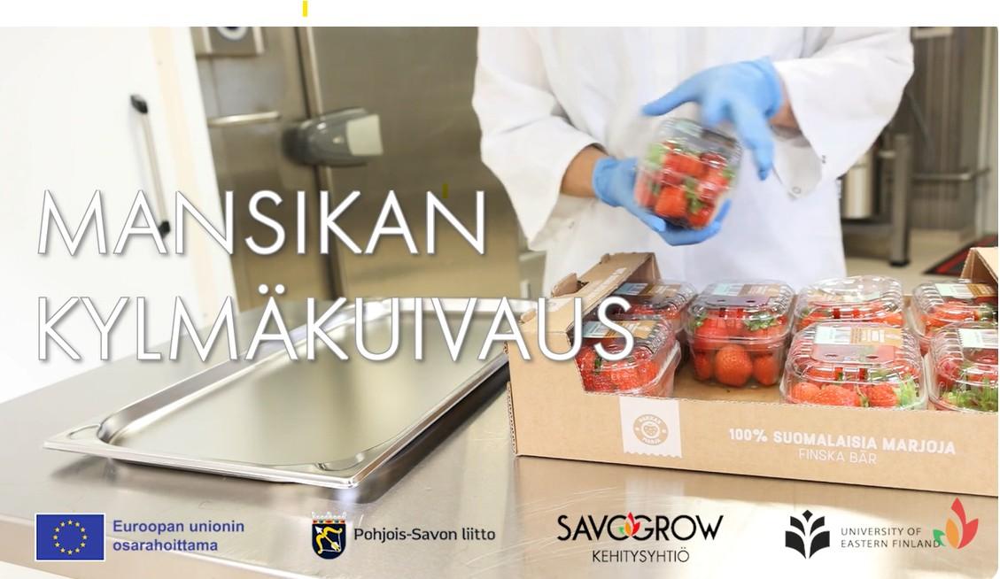 Tutustu kylmäkuivaukseen - Savogrow